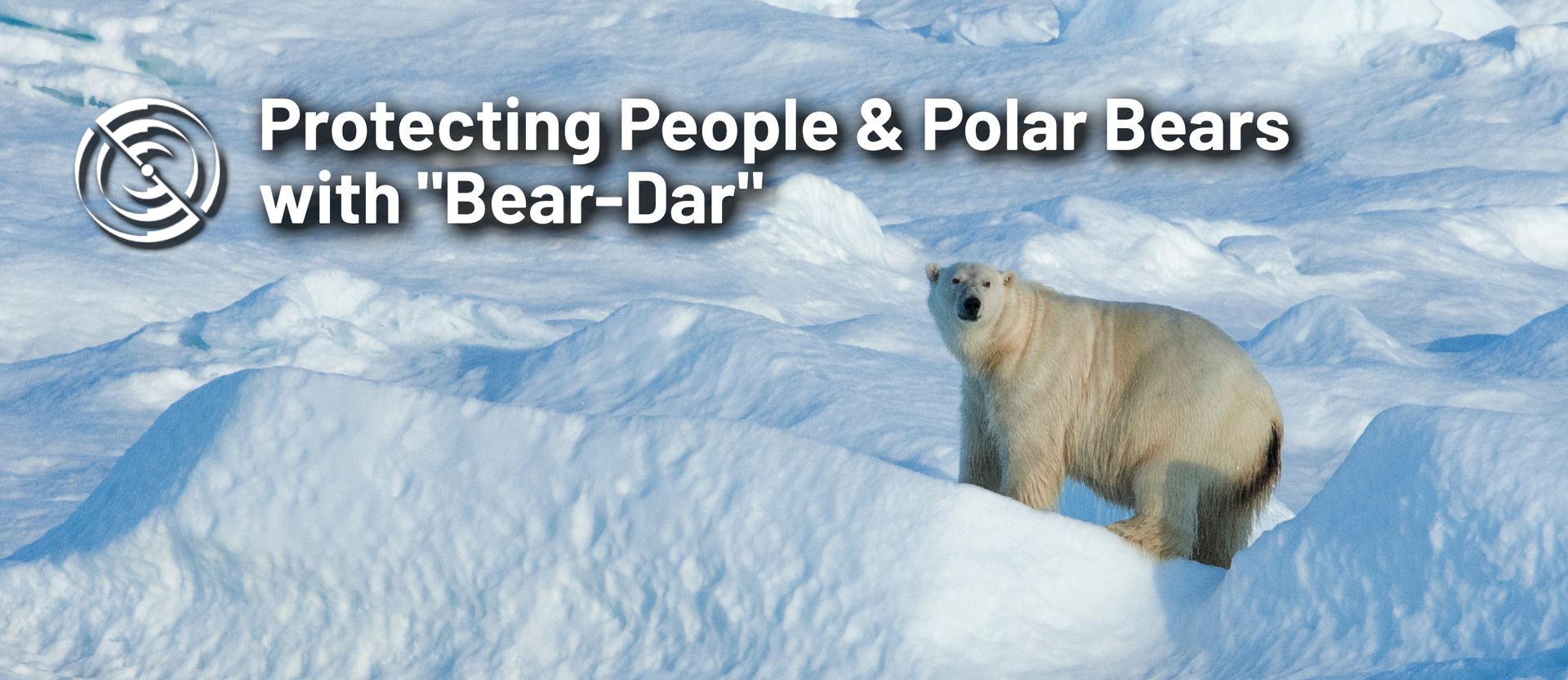 Protecting People and Polar Bears with “Bear-Dar” | Spotter Global